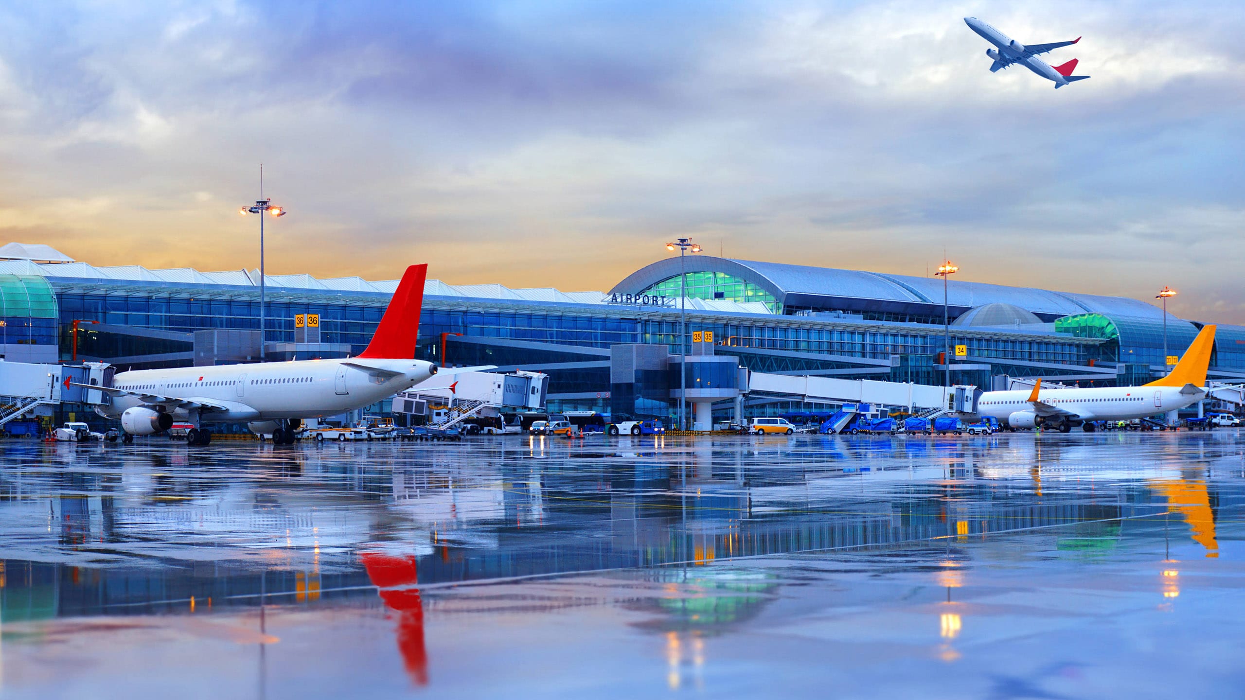 SkyMAX: Airline Schedule Planning - Sky Suite | Amadeus for Airlines