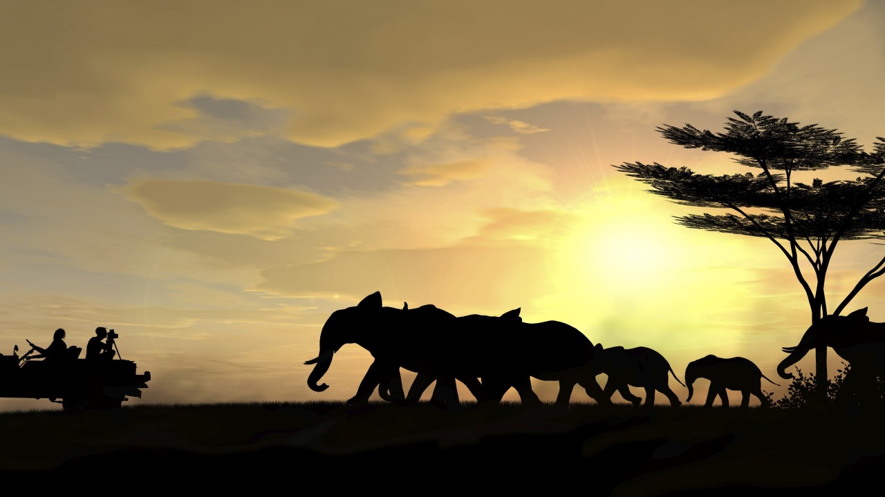 Tourvest and Amadeus strengthen partnership for the long-term with NDC ...