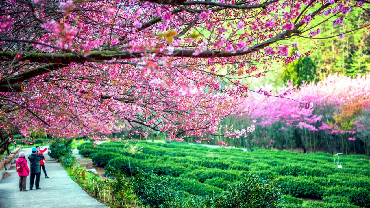 Taiwan’s ezTravel joins Amadeus’ NDC [X] to spearhead innovation with ...